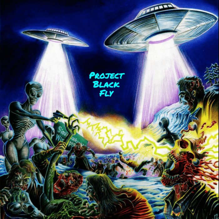 Project Black Fly | Project Black Fly