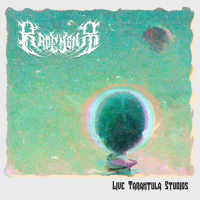 Live Tarantula Studios | Radement