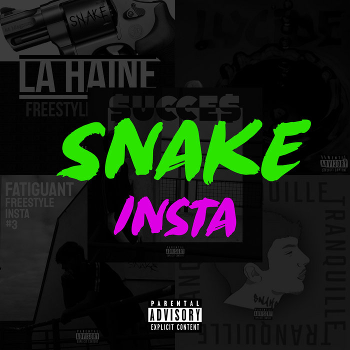 Insta | Snake