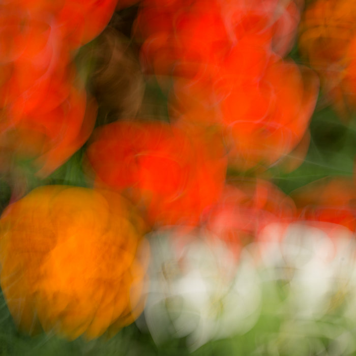 Monkey In Paradise aka Andi Isler - Hang On | Monkey In Paradise aka ...