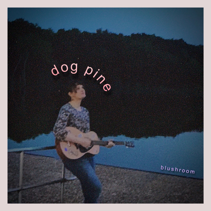 dog pine | blushroom