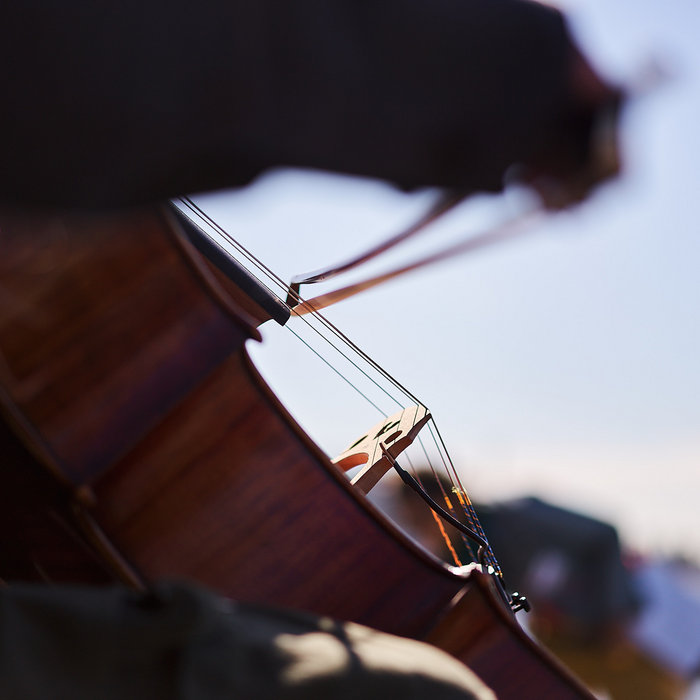 The Wolfe Island Tapes | Anne Bourne