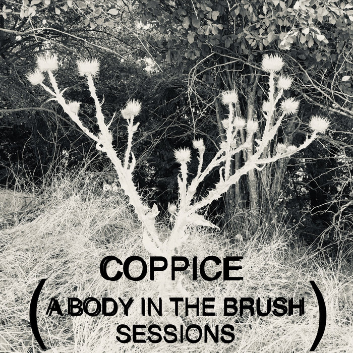 Coppice | Plasticstatic