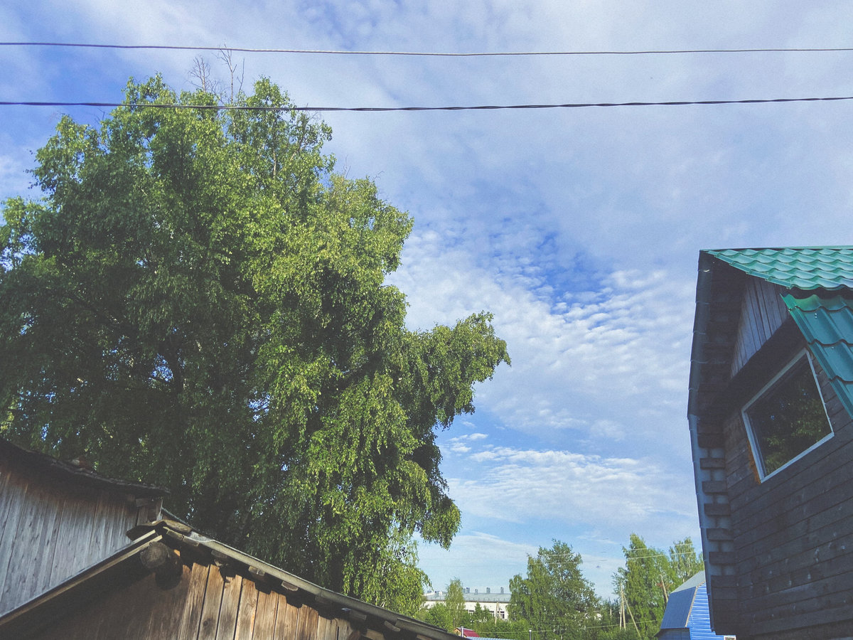 morning windows | lurp sheets
