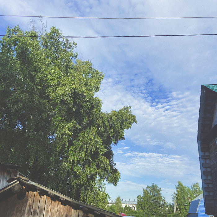 morning windows | lurp sheets