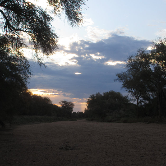 Nonyane | Roche van Tiddens