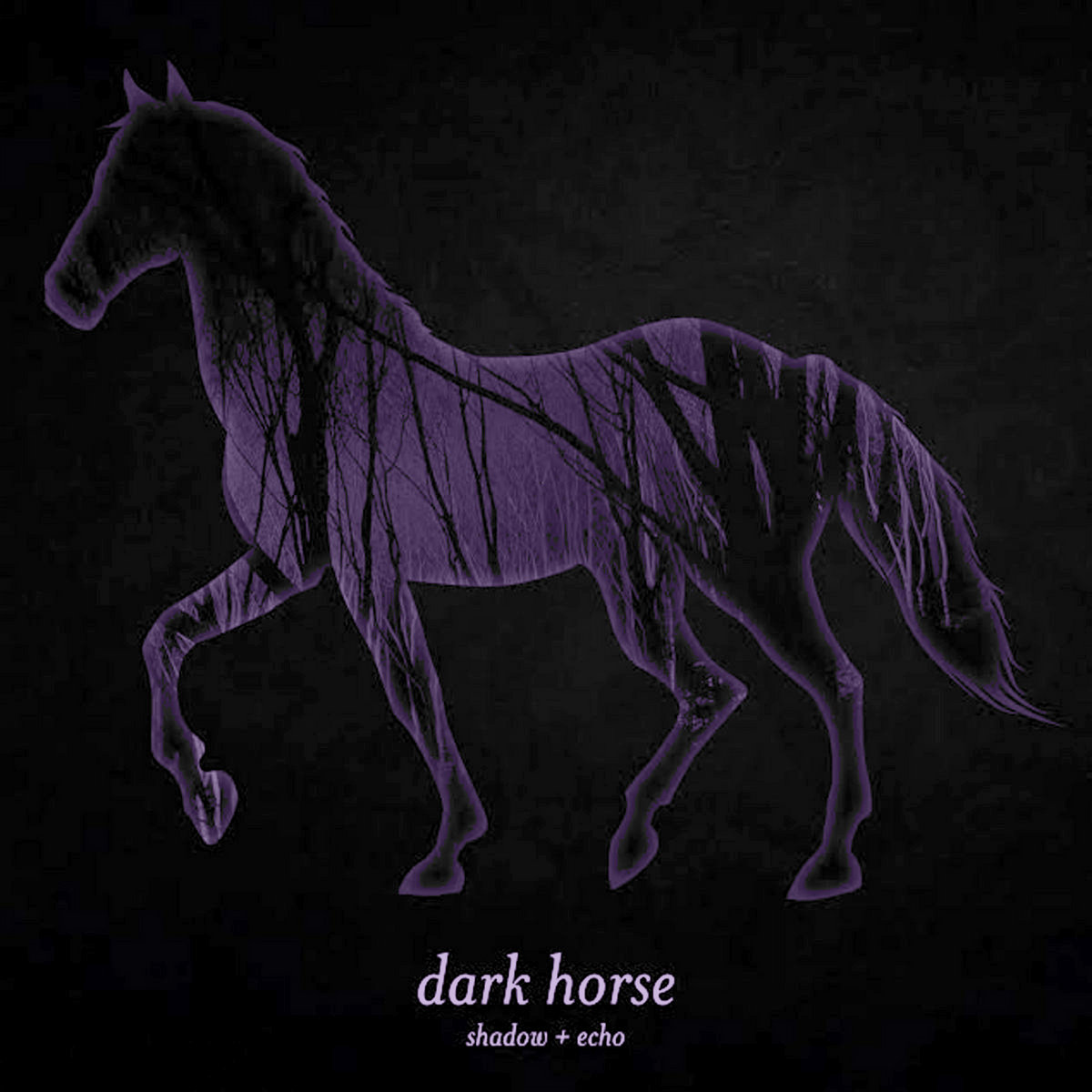 Dark Horse | Shadow + Echo | Heath Rogers