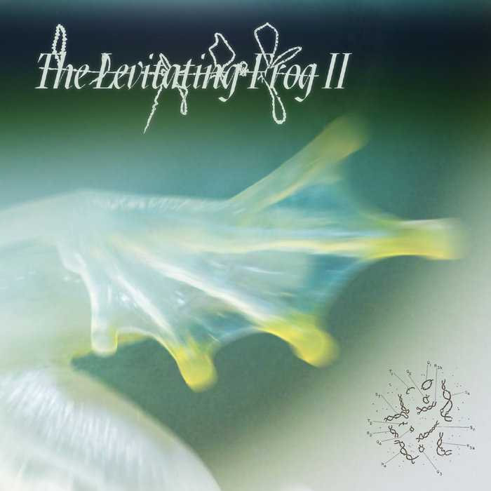 The Levitating Frog II | Repulsive Force | Oprofessionell / Repulsive Force