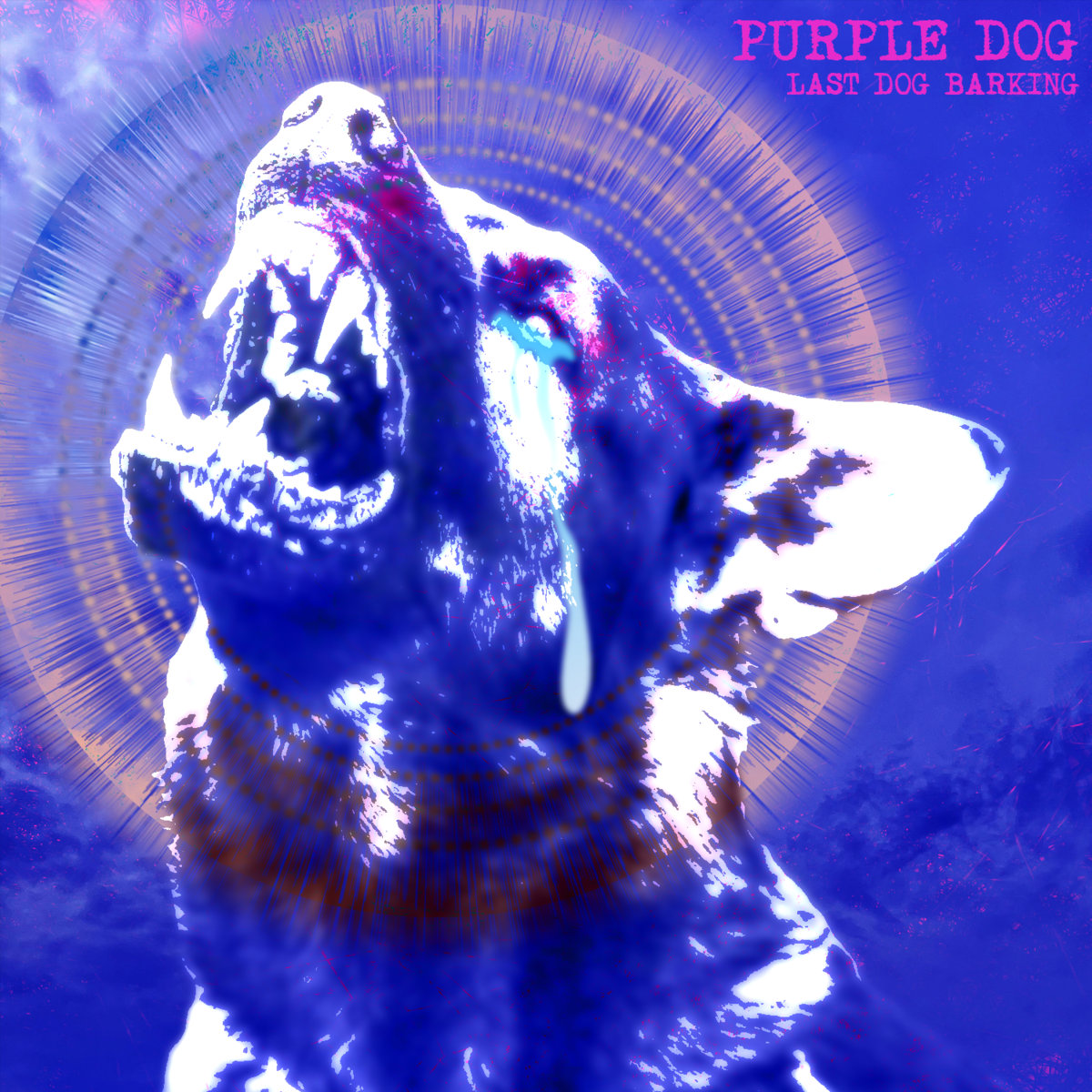 Last Dog Barking | Purple Dog