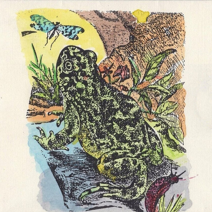 Toad Song Sanctuary | Wyoming Toad | Fiadh Productions