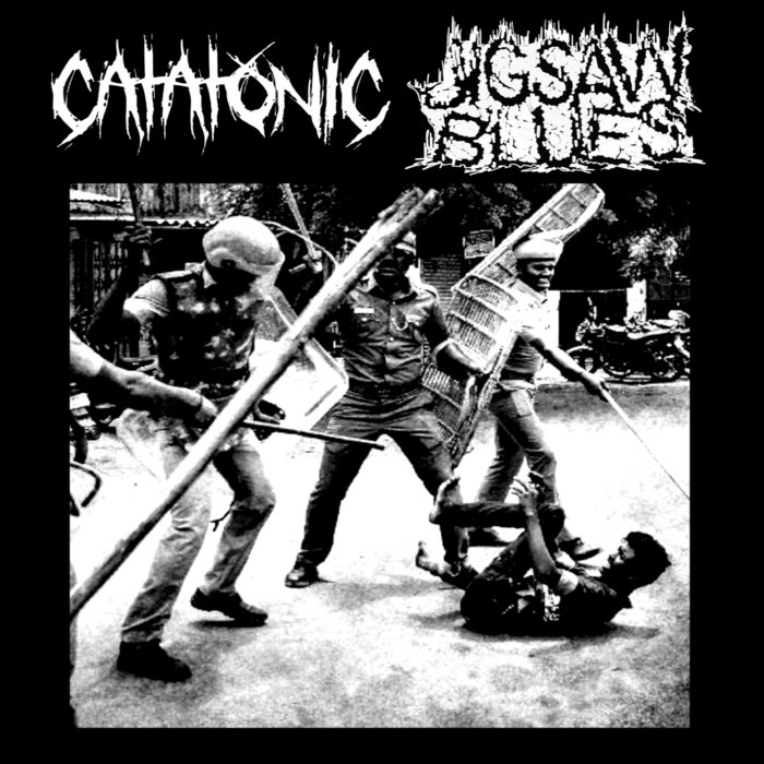 A Legacy Of Shame Split EP 2022 Catatonic/Jigsaw Blues Homo Vulgaris ...