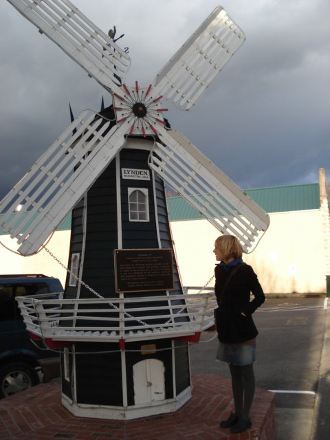 WINDMILLING | Ryan Dahle