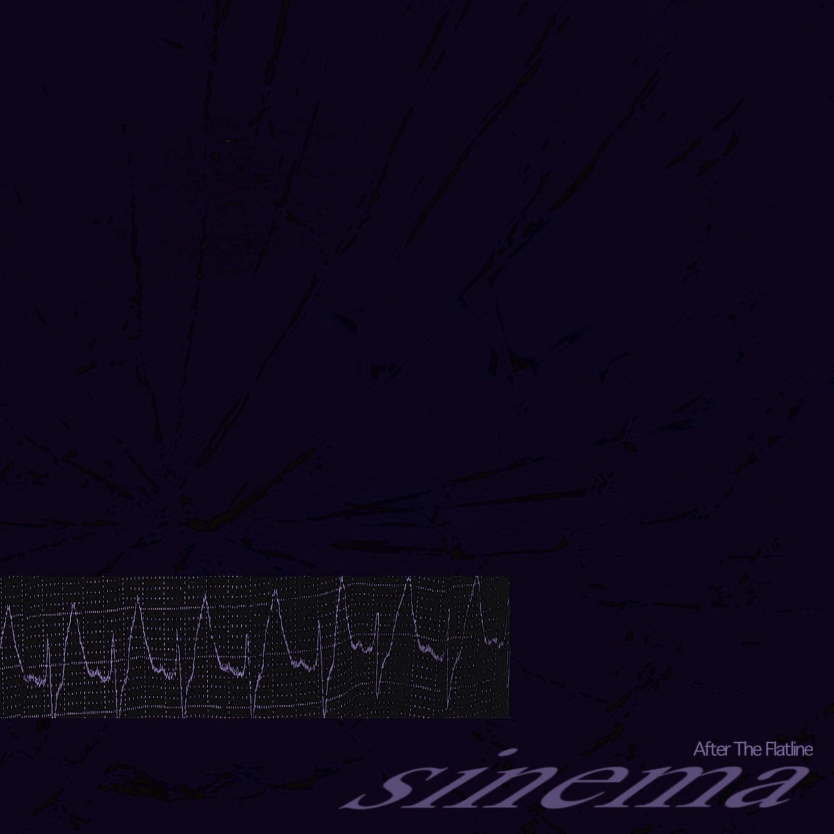 After the Flatline | SINEMA | Zegema Beach Records