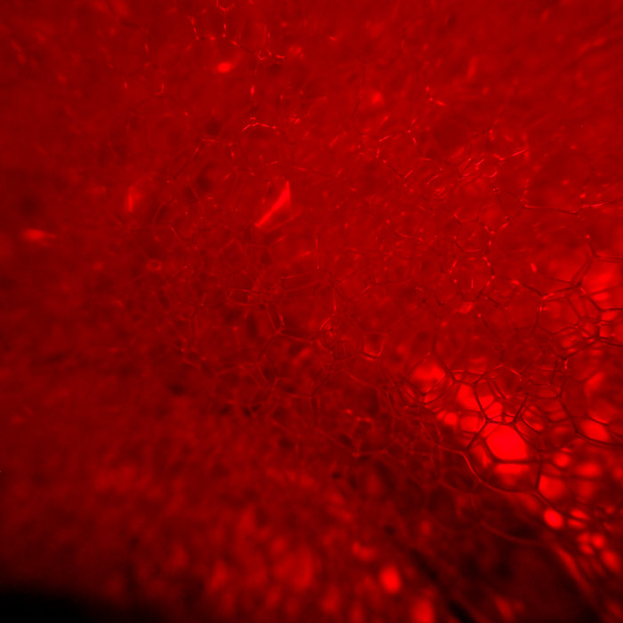 Reflections Of Red | SulphurFeast