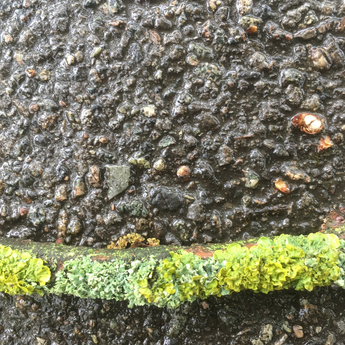 Sticky Thumy Neo Funky Album | Leon Maurice-Jones