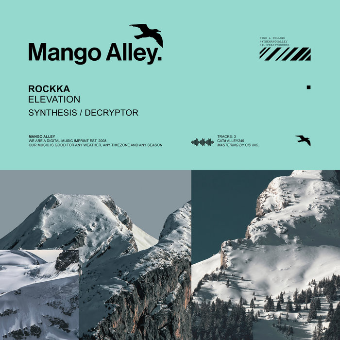 Elevation | ROCKKA | Mango Alley