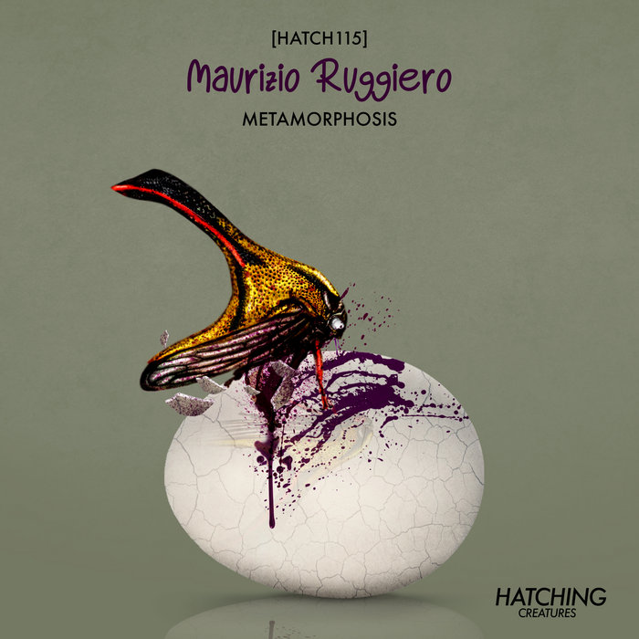 Metamorphosis | Maurizio Ruggiero | Hatching Creatures
