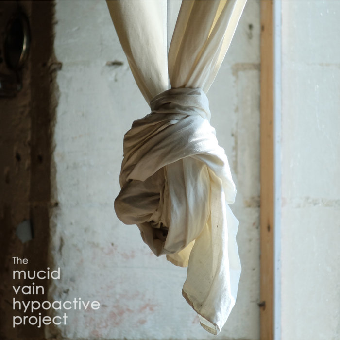 The mucid vain hypoactive project | The lucid brain integrative project