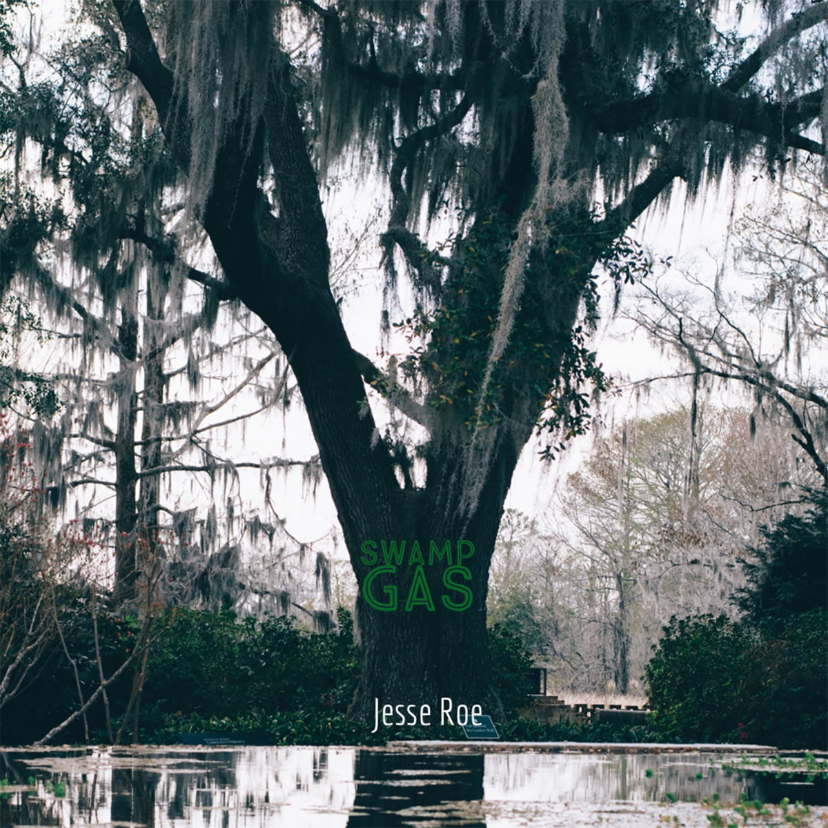 Swamp Gas | Jesse Roe