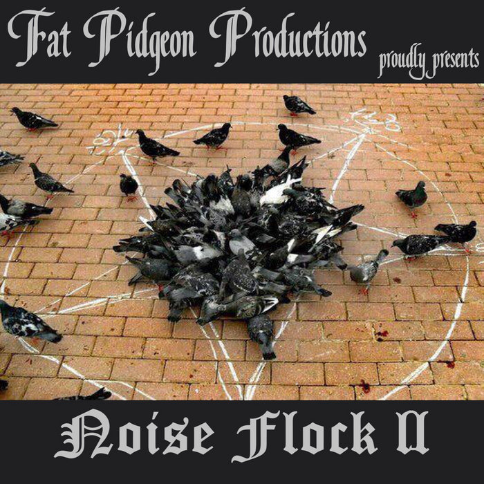 Noise Flock II | Various | Fat Pidgeon Productions