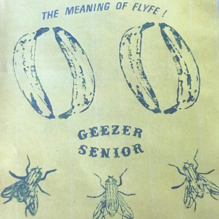 The Meaning of Flyfe | Geezer Senior