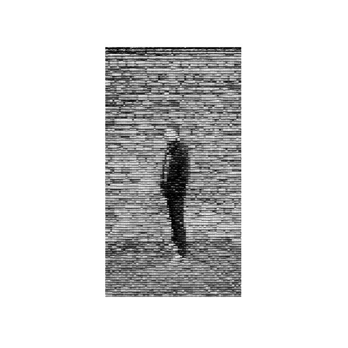 Bleak | Norbert Haftek