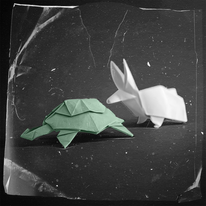 Turtles Win Rabbit Races | Jermaine Abdual