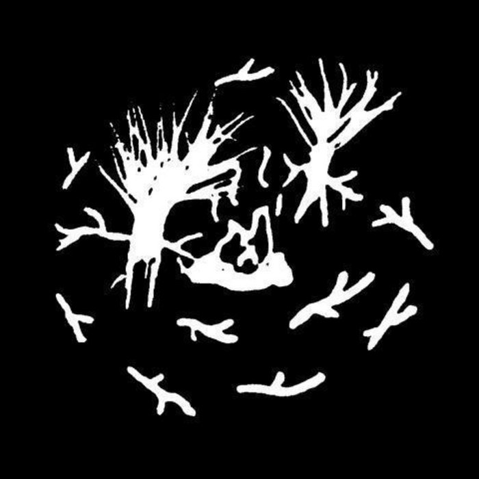 Tree formations | Lennox Foxwood