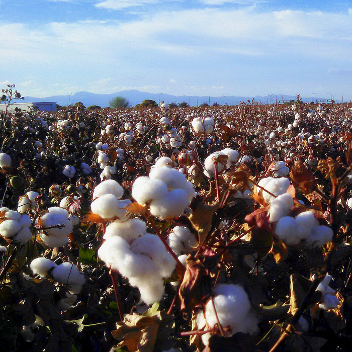 Lessons & Lost Things | August Stone & Crowe