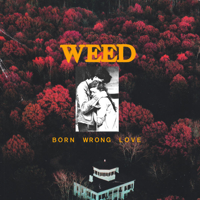 Born Wrong Love | Weed