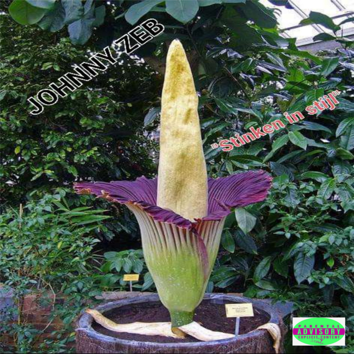 STINKEN IN STIJL | Johnny Zeb | Viking666