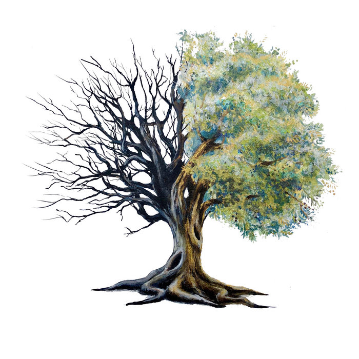 Not the Same [Remastered Version] | Jeremy Strand