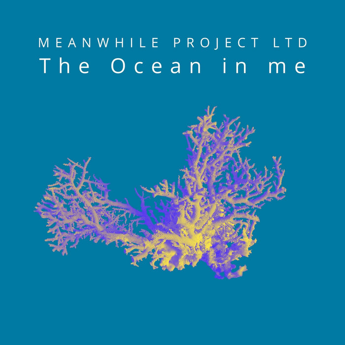 The Ocean In Me | Meanwhile Project Ltd | Kapitaen Platte