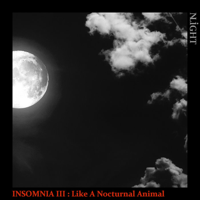 INSOMNIA III : Like A Nocturnal Animal | NLiGHT