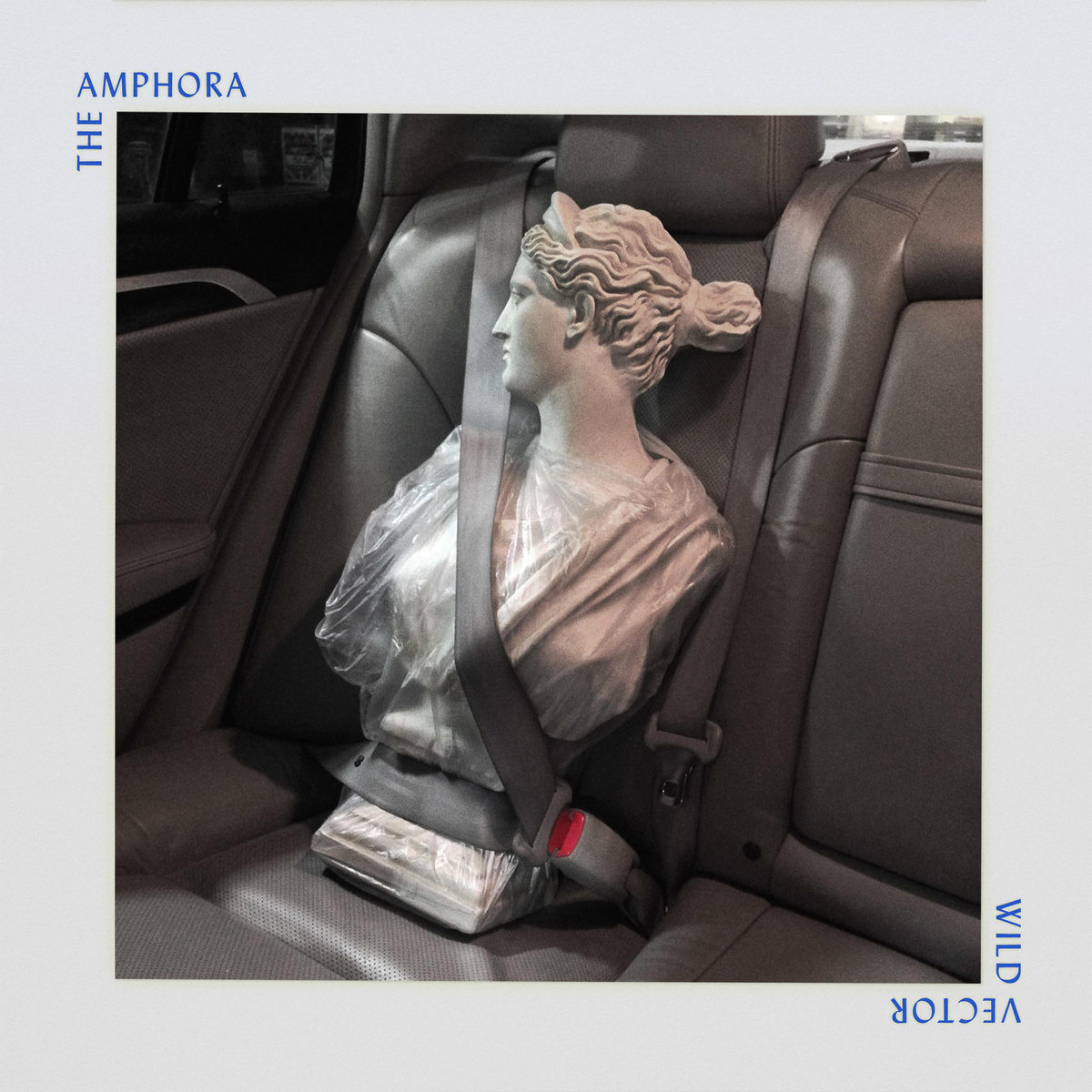 The Amphora | Wild Vector