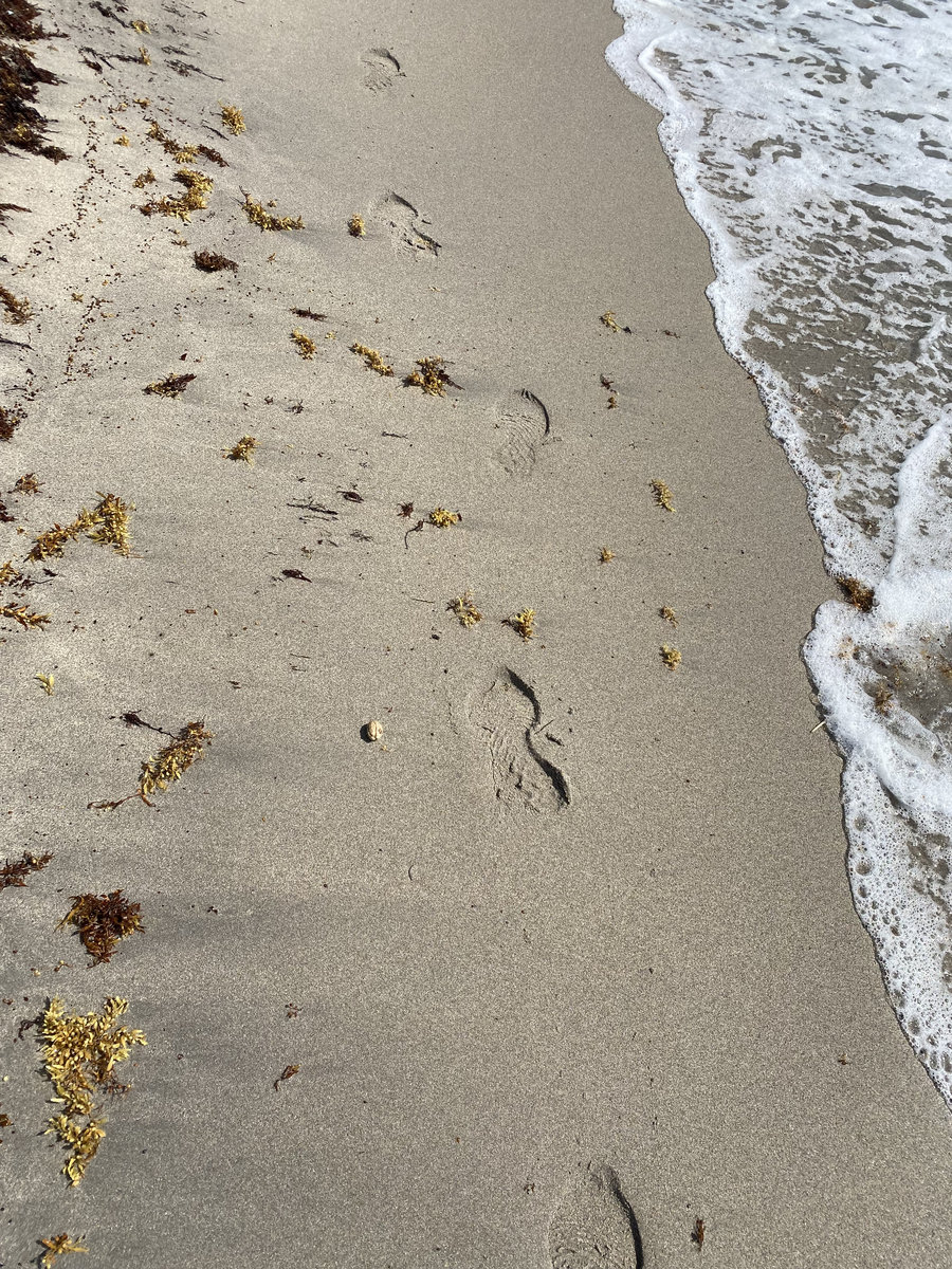 Christian Poem | Wilted Woman