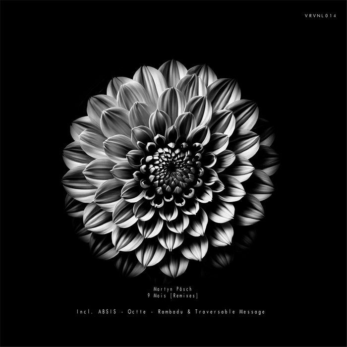 9 Mois Remixes | Martyn Päsch | Virescence Records