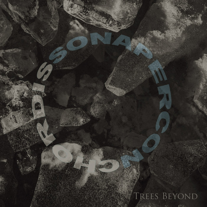 Sona Perconchordis | Trees Beyond