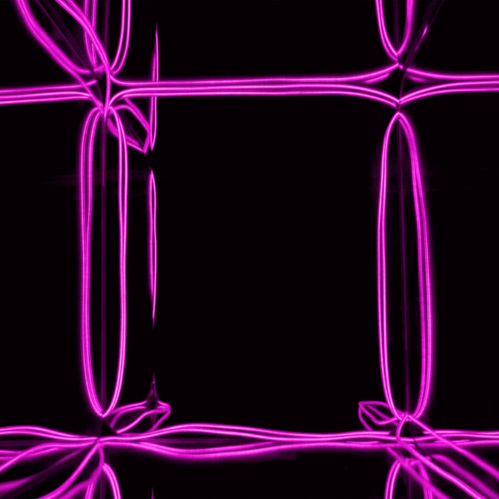 Under the ultraviolet light | Dead Hummingbird