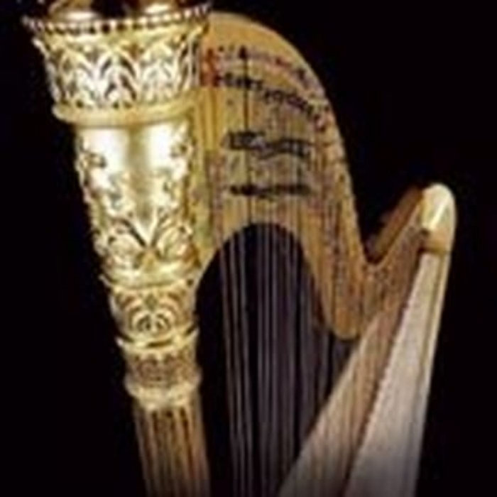 100x HARP FX - WAV. SAMPLE PACK | CHARLIE SMILER