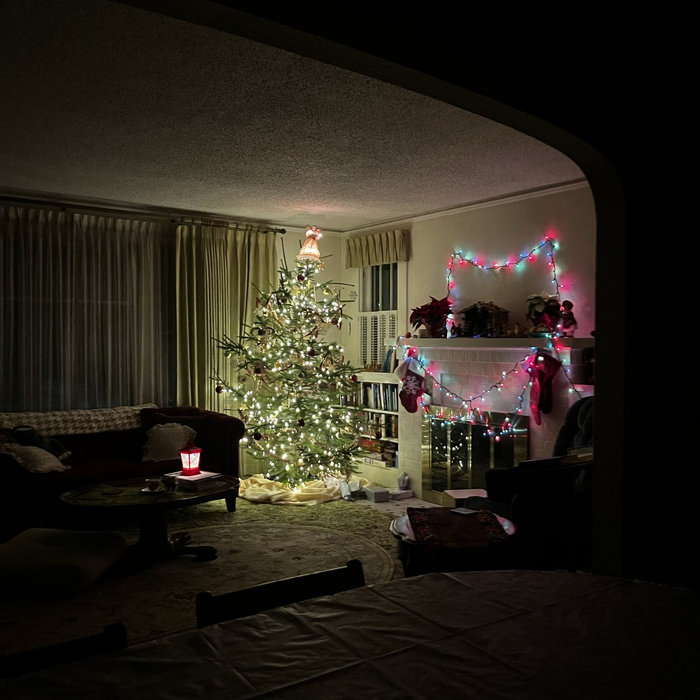 Astraying Home at Christmas | Addison Lewis