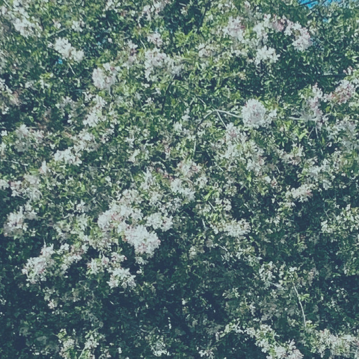 cloud.loops [𝚟𝚊𝚞𝚕𝚝 𝚎𝚍𝚒𝚝𝚒𝚘𝚗] | laneloops