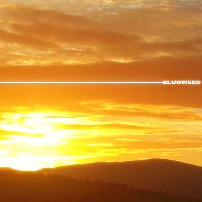 Voyager (Remastered) - Single | SlugWeed