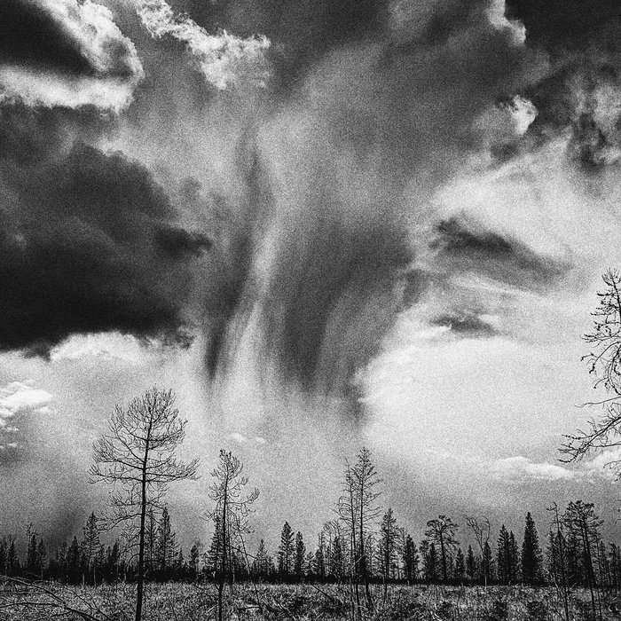 demos II | Good Luck Have Fun