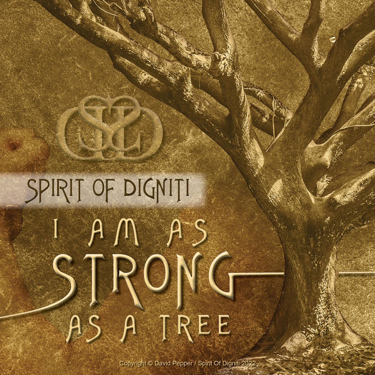 I Am As Strong As A Tree | Spirit Of Digniti (David Pepper Music)