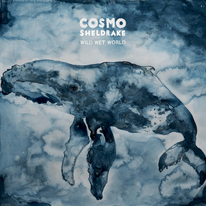 Wild Wet World | Cosmo Sheldrake