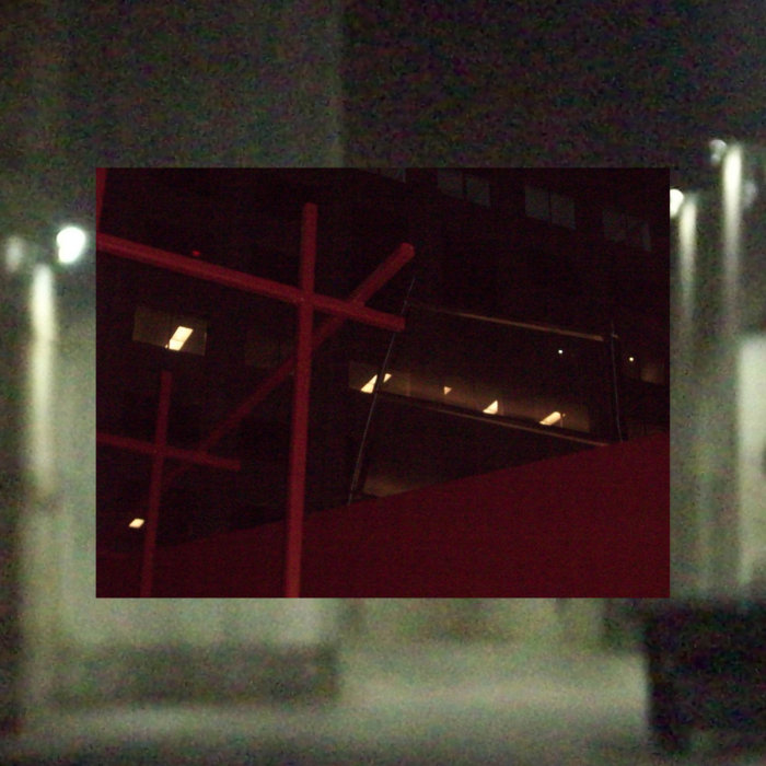 BellyShotAnimal | Stag Film