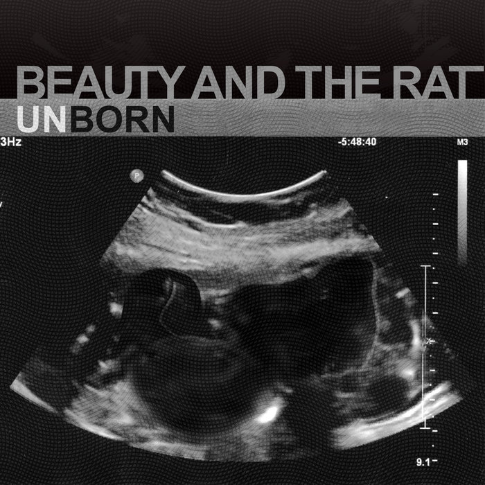 Unborn | Beauty and the Rat