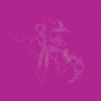 Music | ttttttttttttttttttttt