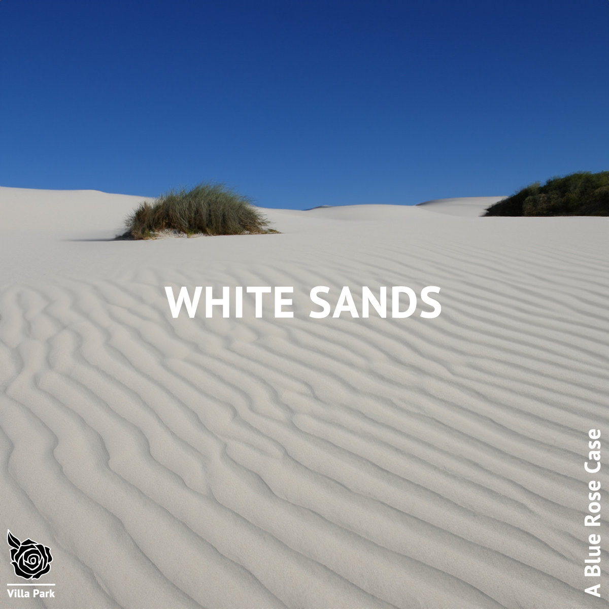White Sands | A Blue Rose Case